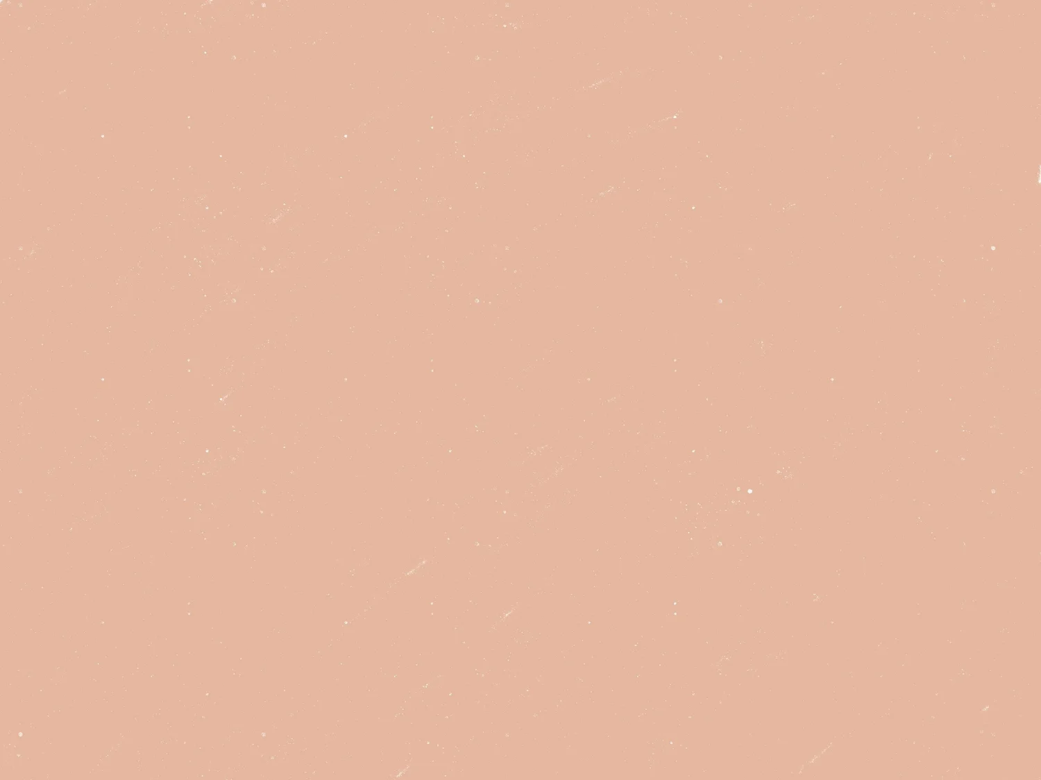 Rachel Lyon Design Co.