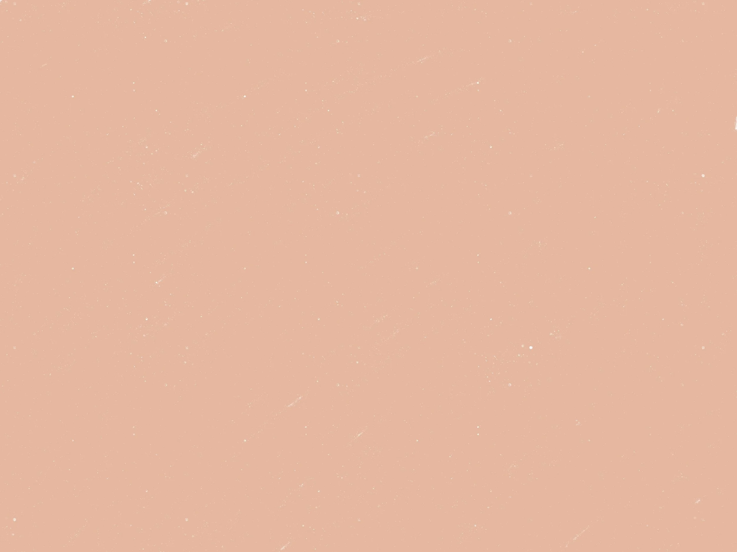 Rachel Lyon Design Co.