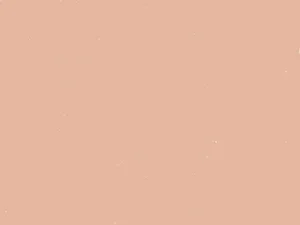 Rachel Lyon Design Co.