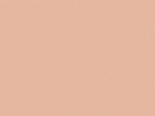 Rachel Lyon Design Co.