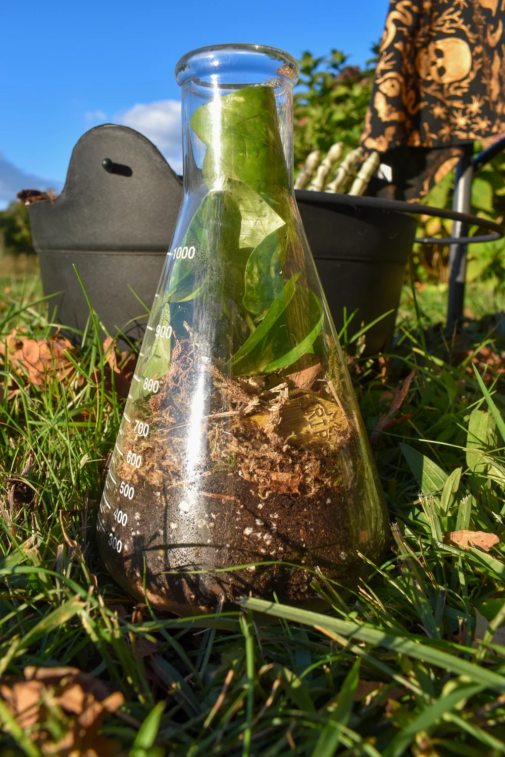 Spooky Terrariums — Sassafras Farmhaunts