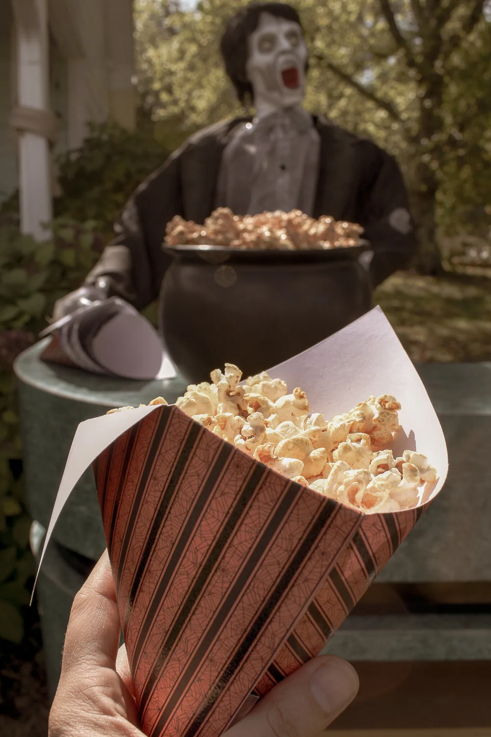 DIY: POPCORN CONES — Sassafras Farmhaunts