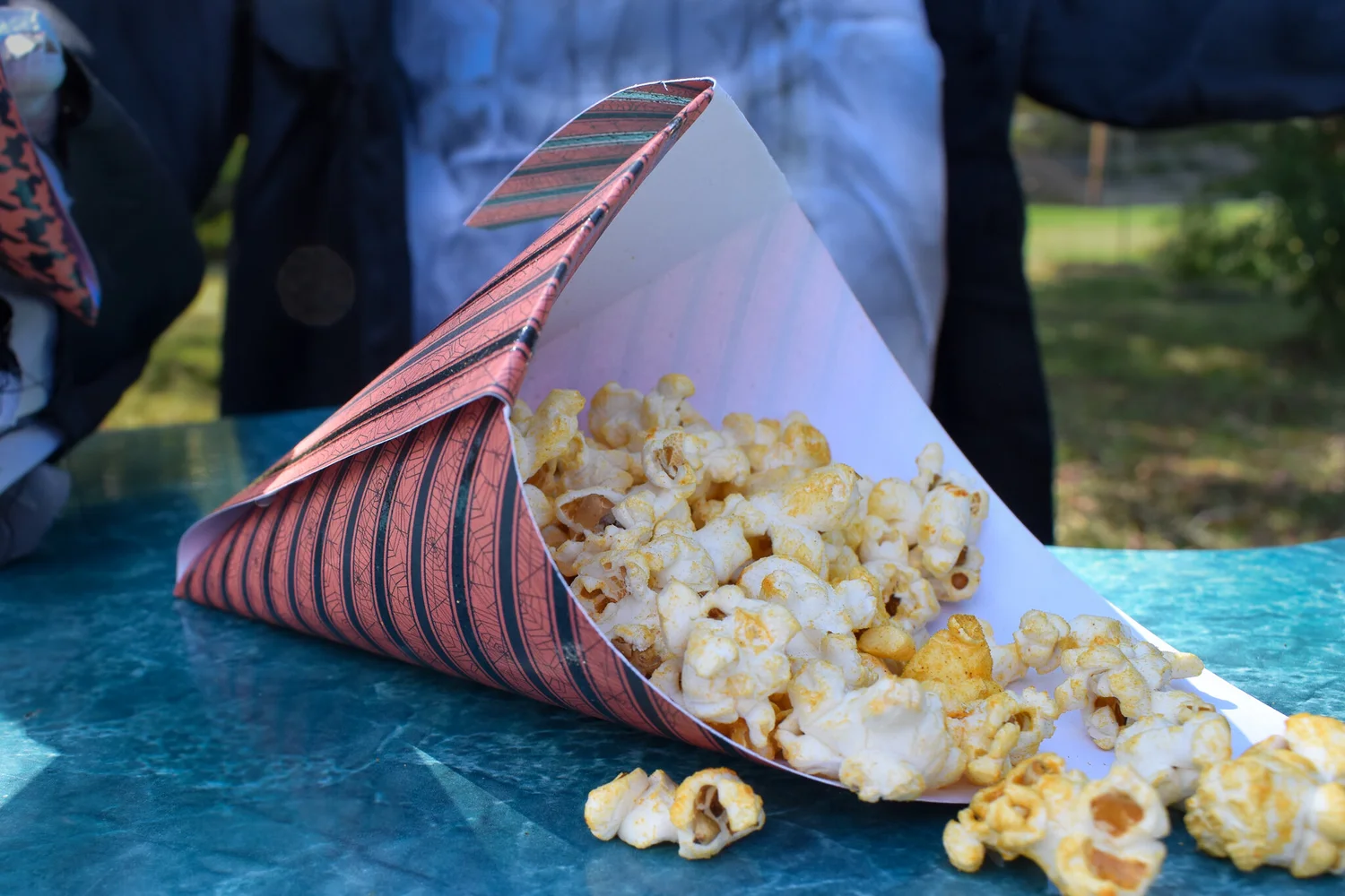 DIY: POPCORN CONES — Sassafras Farmhaunts