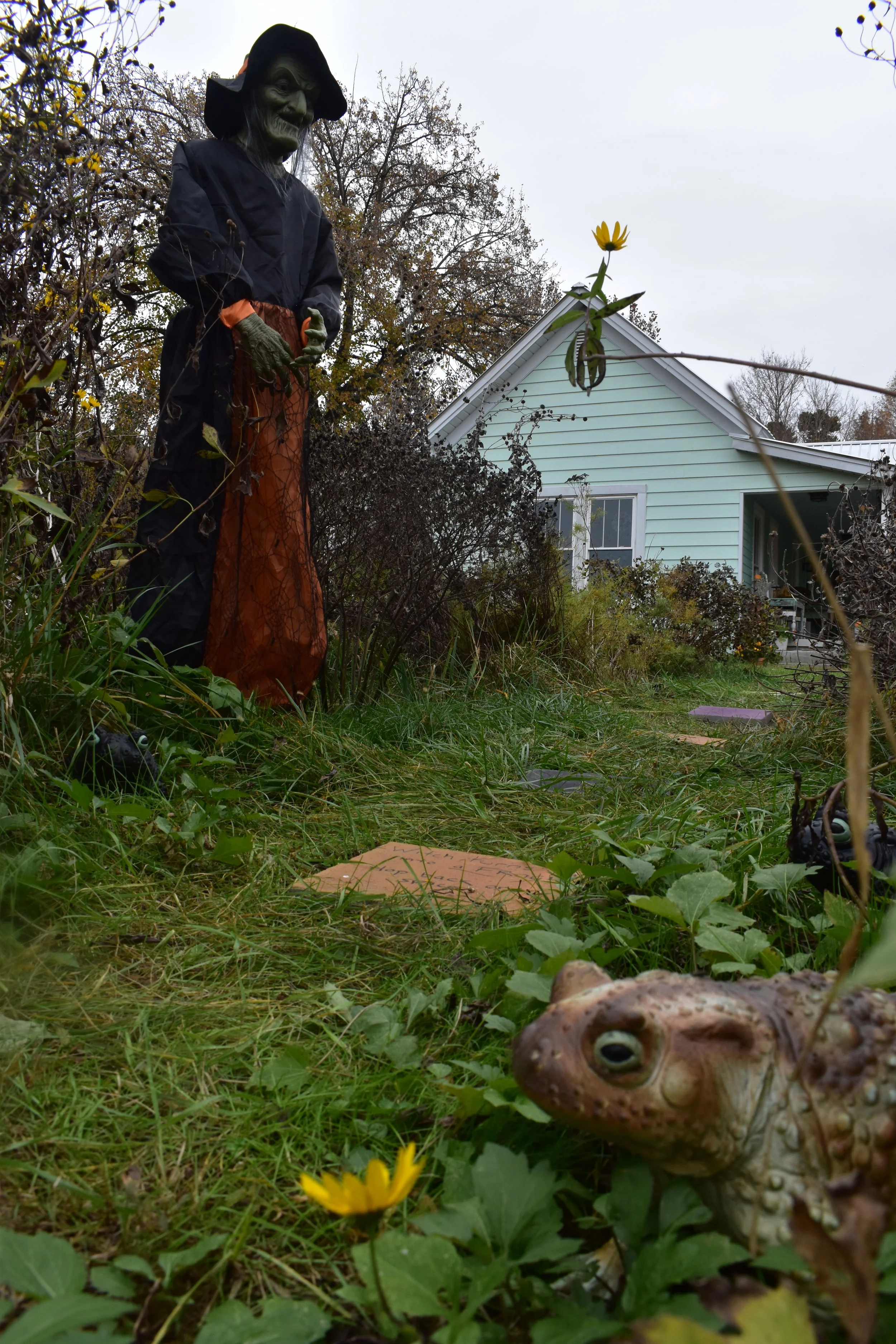 Halloweenland The Game — Sassafras Farmhaunts