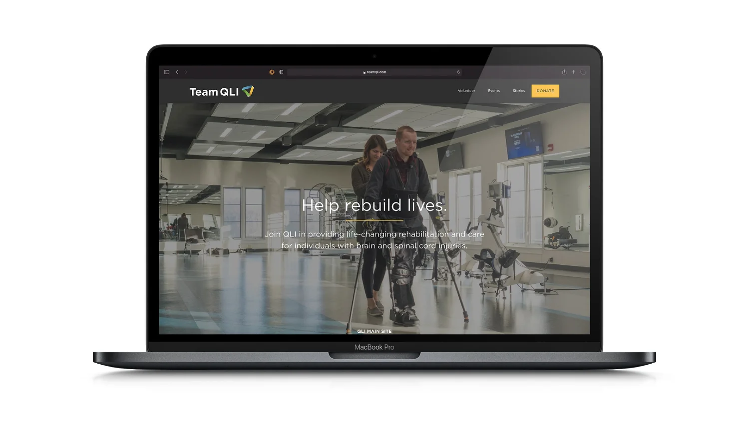 QLI Website Design + Illustration — Fruitful Design & Strategy