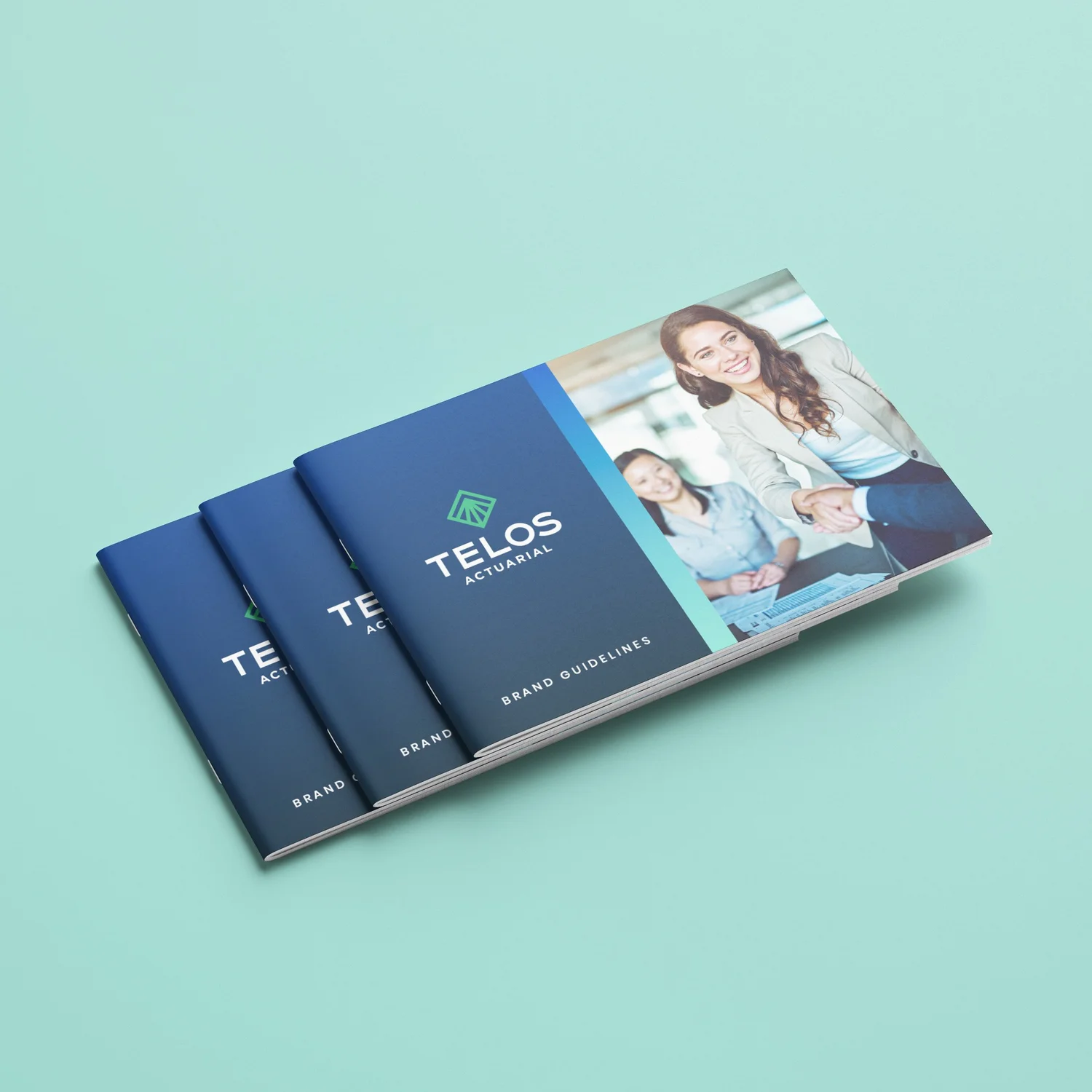Telos Actuarial Rebrand — Fruitful Design & Strategy