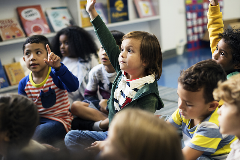 Research — The Canopy Project