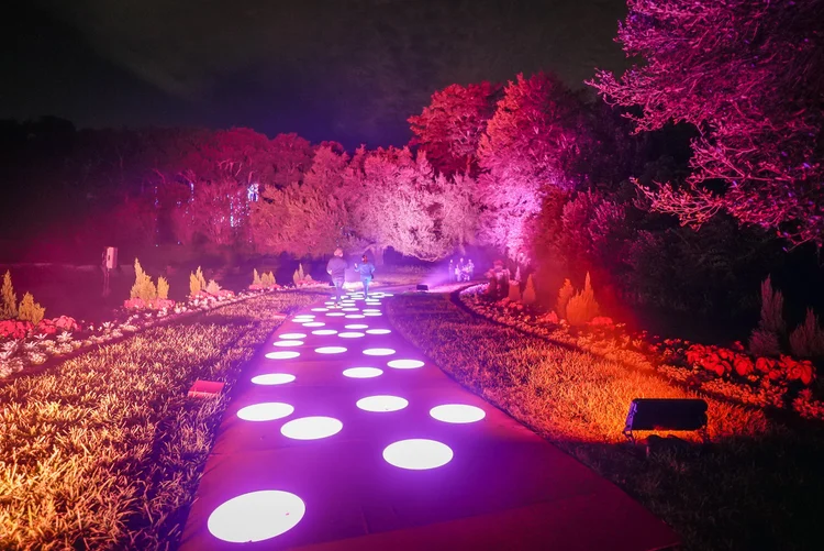 Dazzling Nights : An immersive holiday light experience