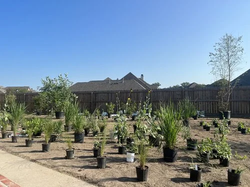 Our Services — Swamp Fly Native Landscapes | Design, Install, Maintain ...