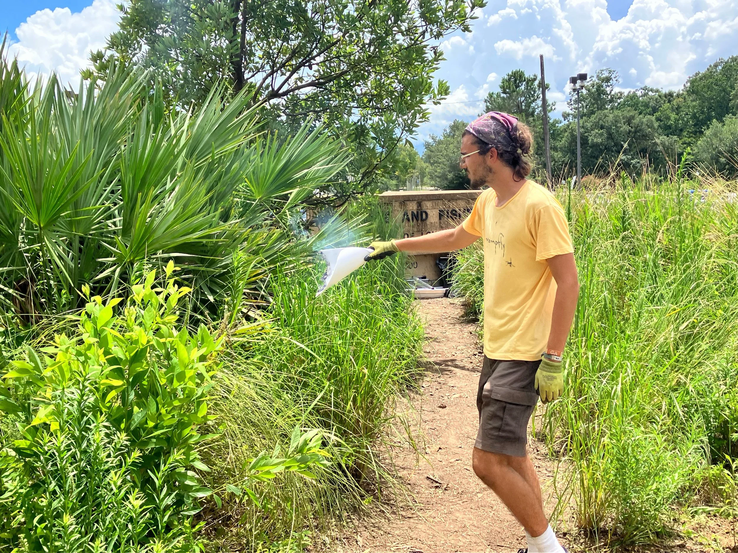 Project Gallery — Swamp Fly Native Landscapes | Design, Install ...