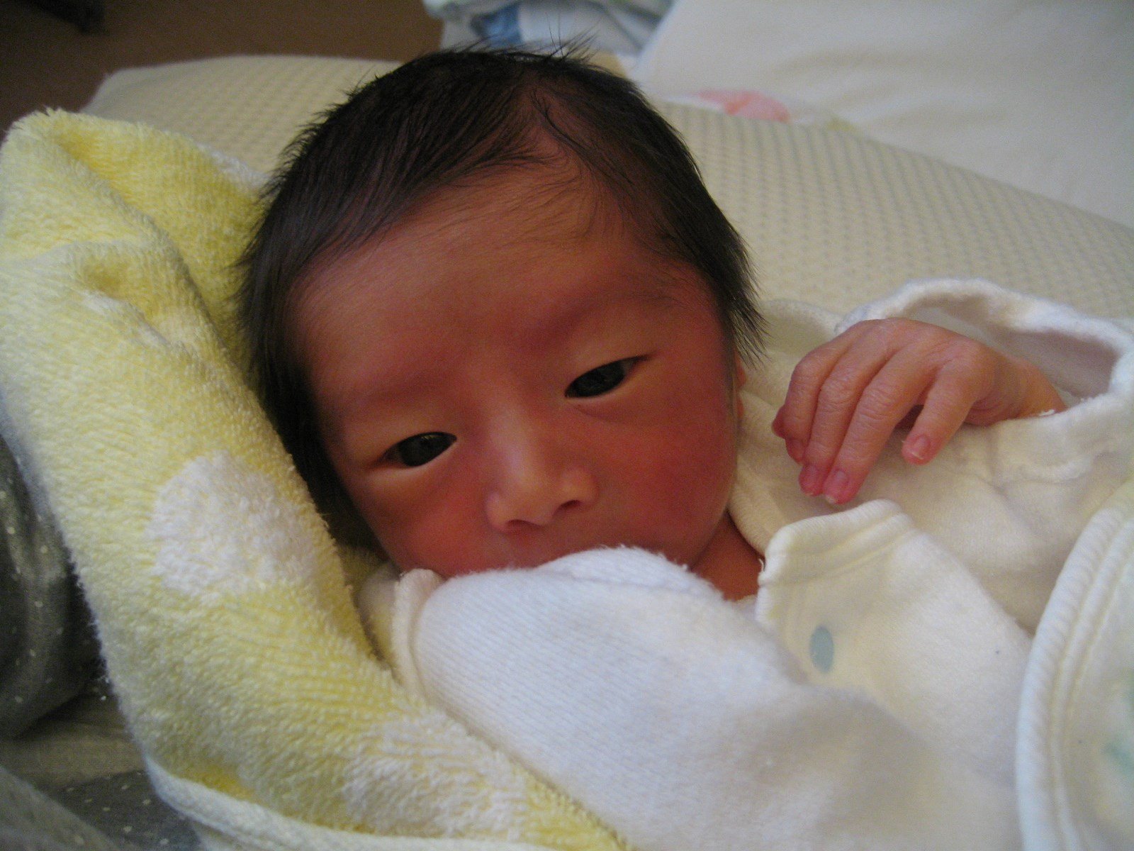 Understanding and Caring for the Early Baby — HUG Your Baby
