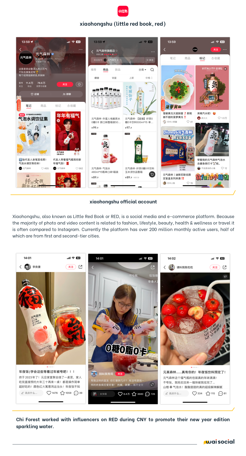 Chinese brand Chi Forest — Wai Social