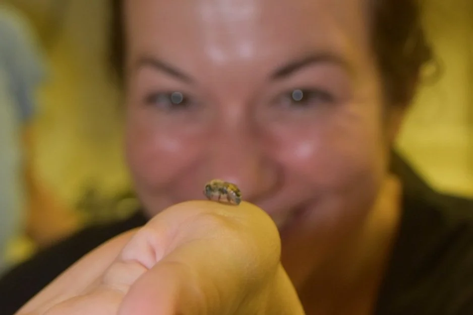 Our Story — Beekept Apiaries