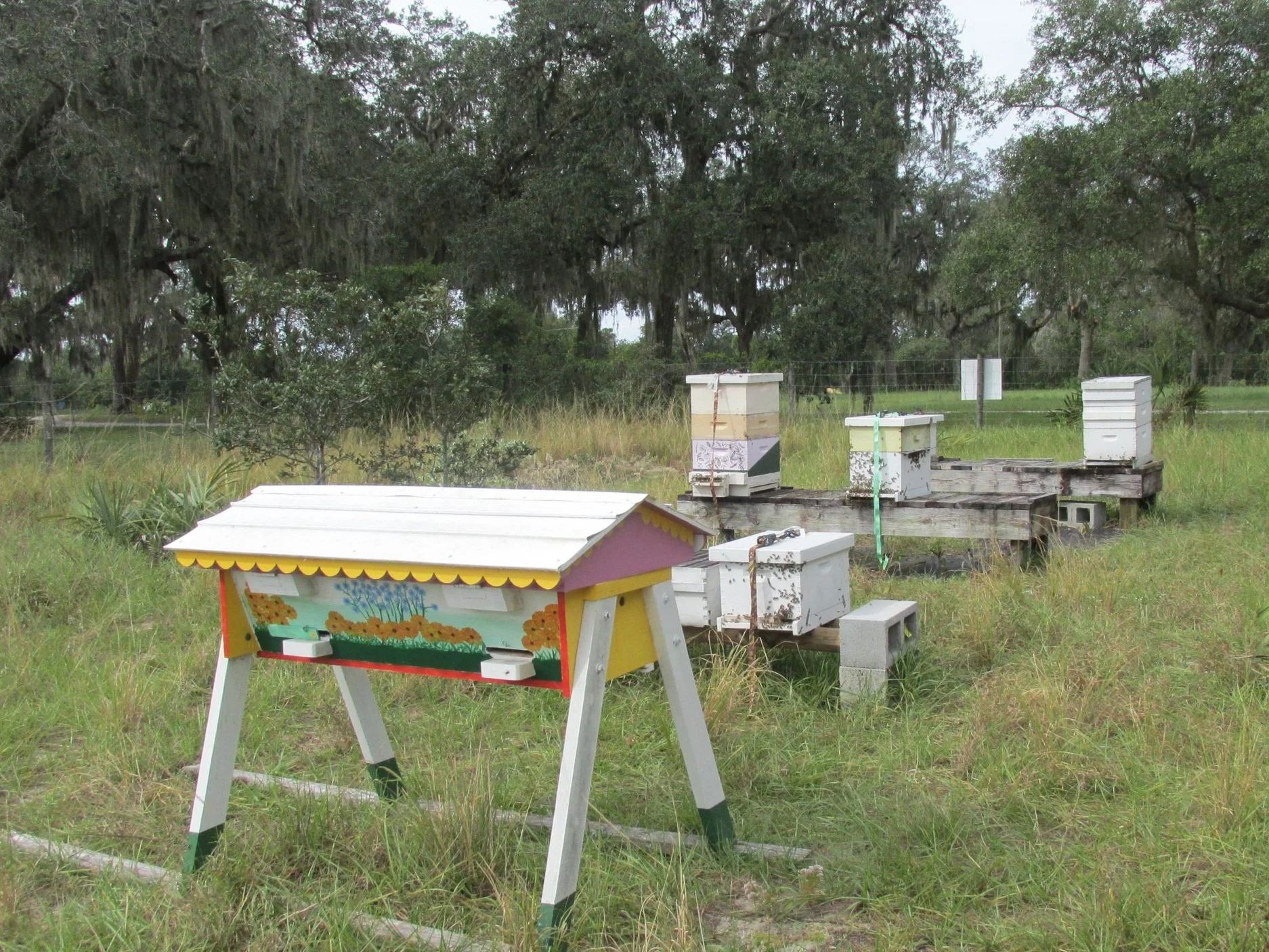 Fungal Pathogens — Beekept Apiaries