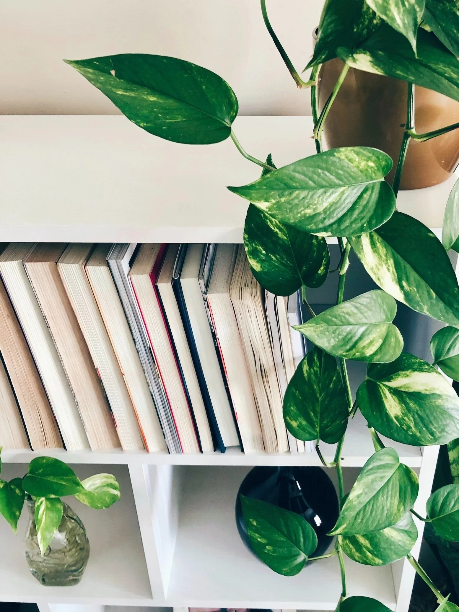 Climate Changemakers