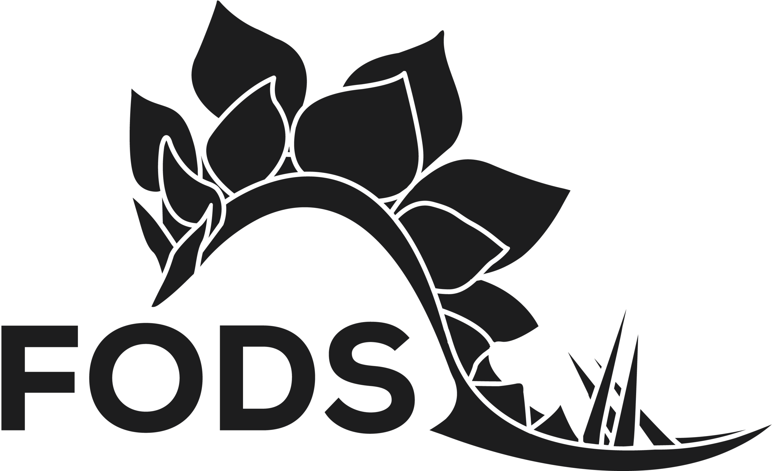 FOD Check - Foreign Object Debris Prevention System