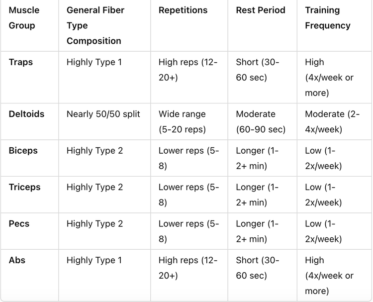 Understanding Muscle Fiber Types and Their Role in Training — BMF TRAINING