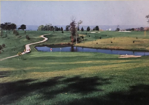 The Former Crest Hills Country Club — Ronny Salerno