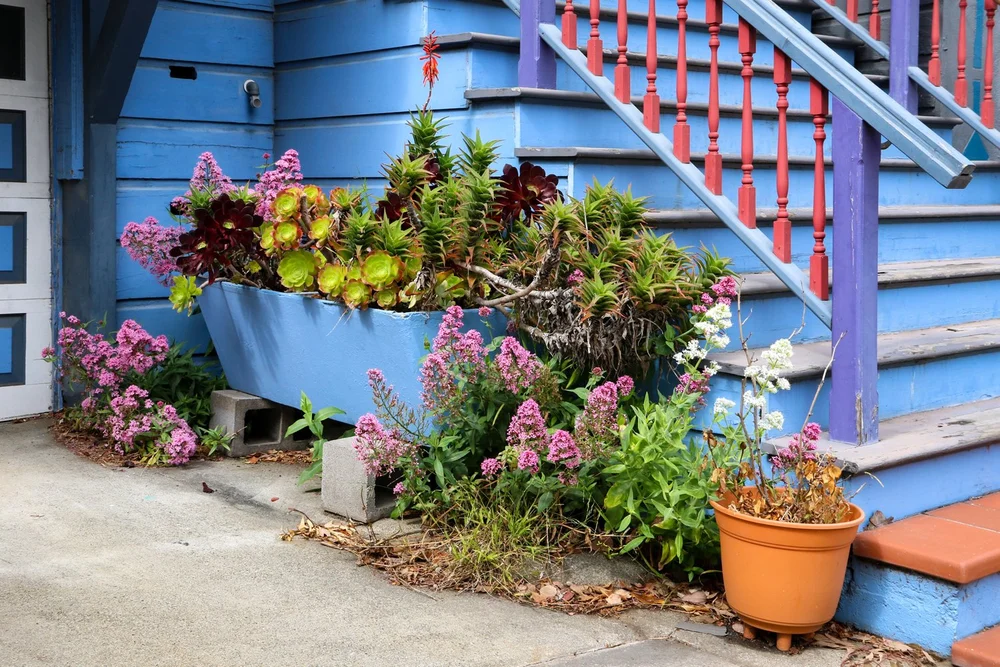 A Miller-Boyett Production — Ronny Salerno