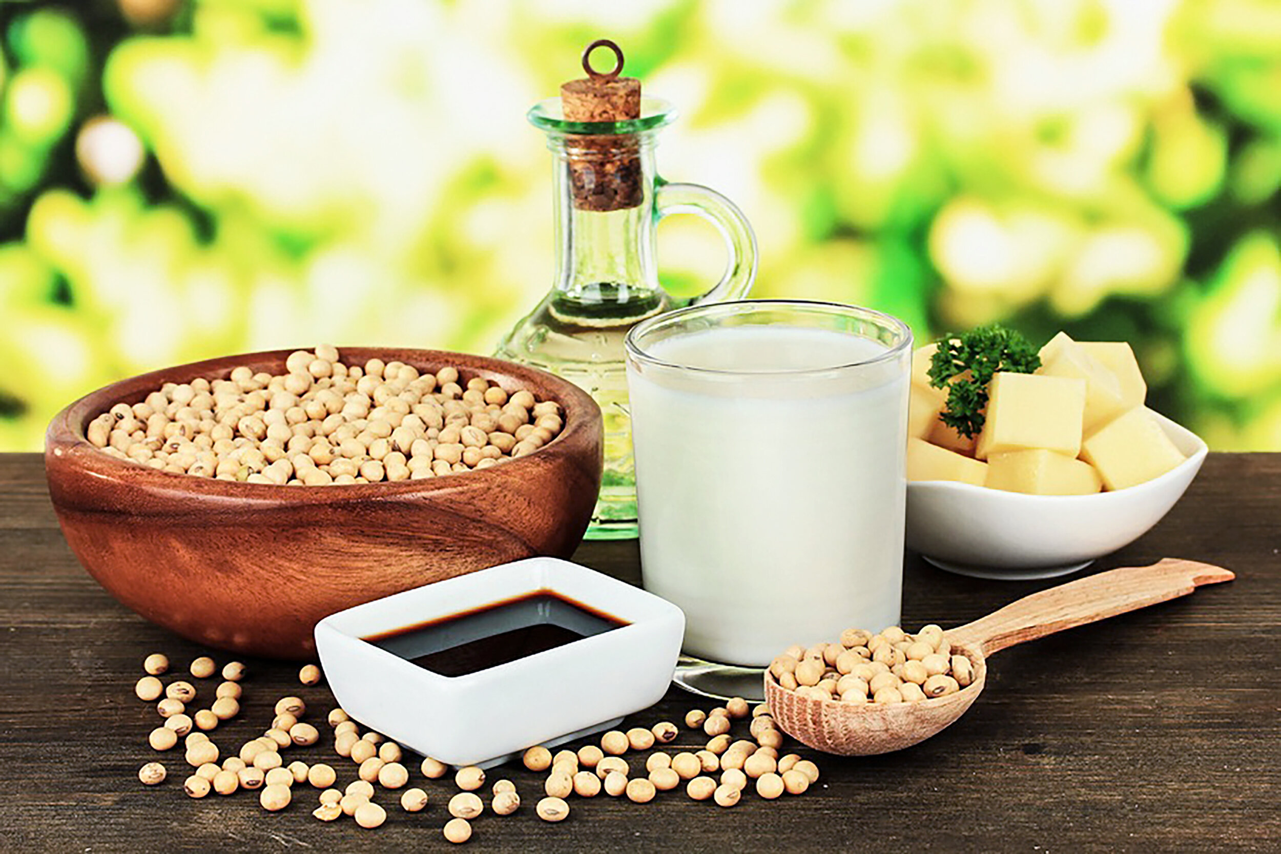 Soy Food Culture Development — Nutrition & Education International