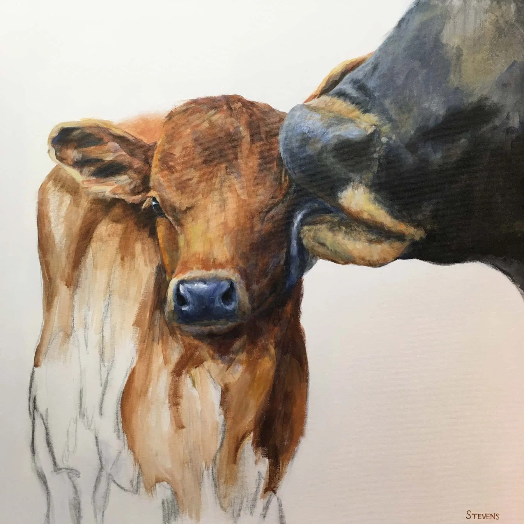 Sandra Stevens — Worrell Gallery