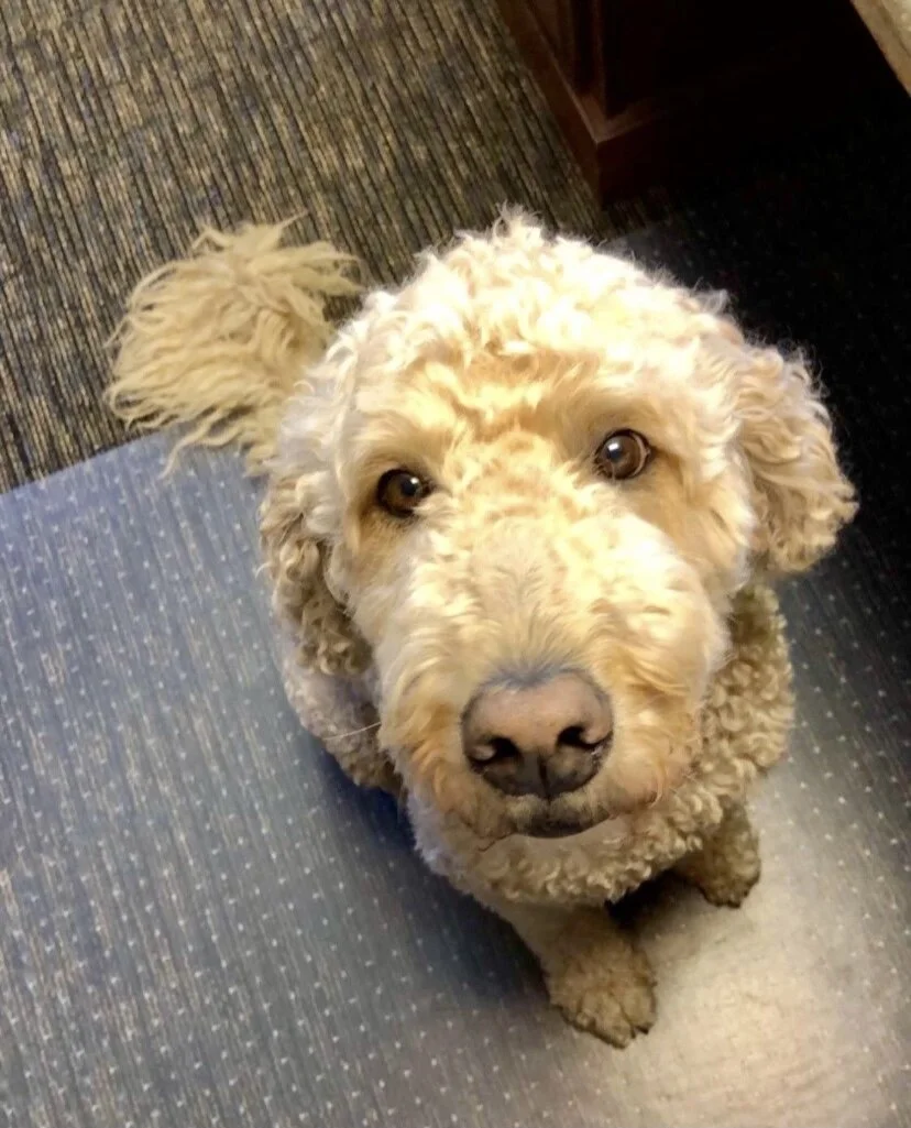 Gallery 1 — Mikey Makes...