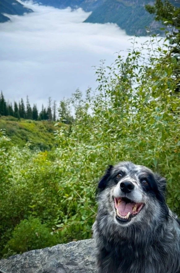 Gallery 1 — Mikey Makes...