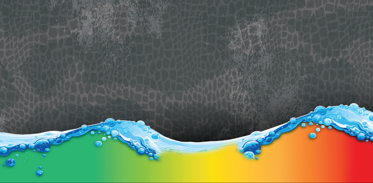 Color Change — CAPTIVZ.COM