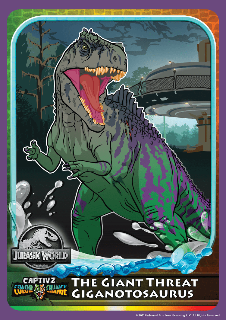 Collection — CAPTIVZ.COM