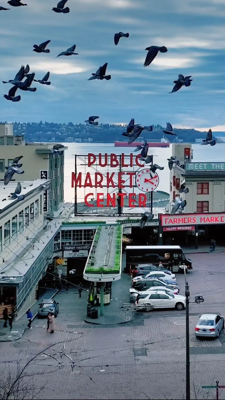 Aesthetic Digital Design & Media // A Seattle Marketing Agency