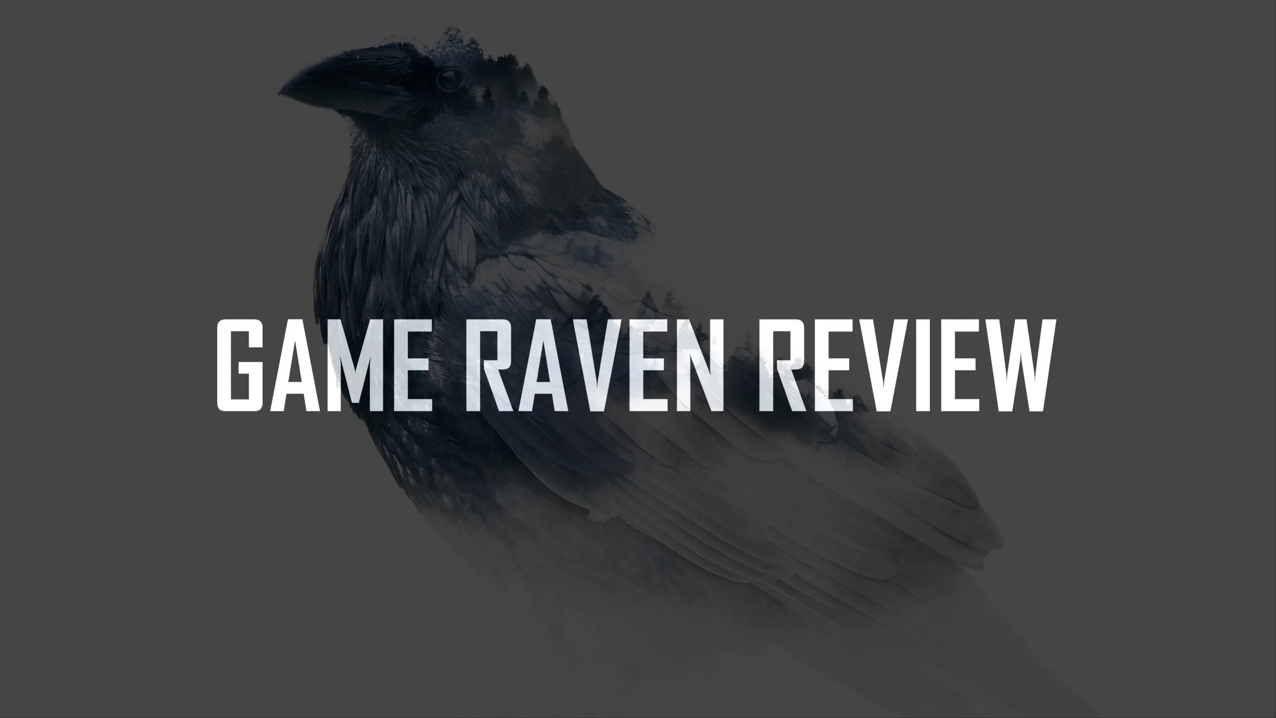 About — Game Raven Review