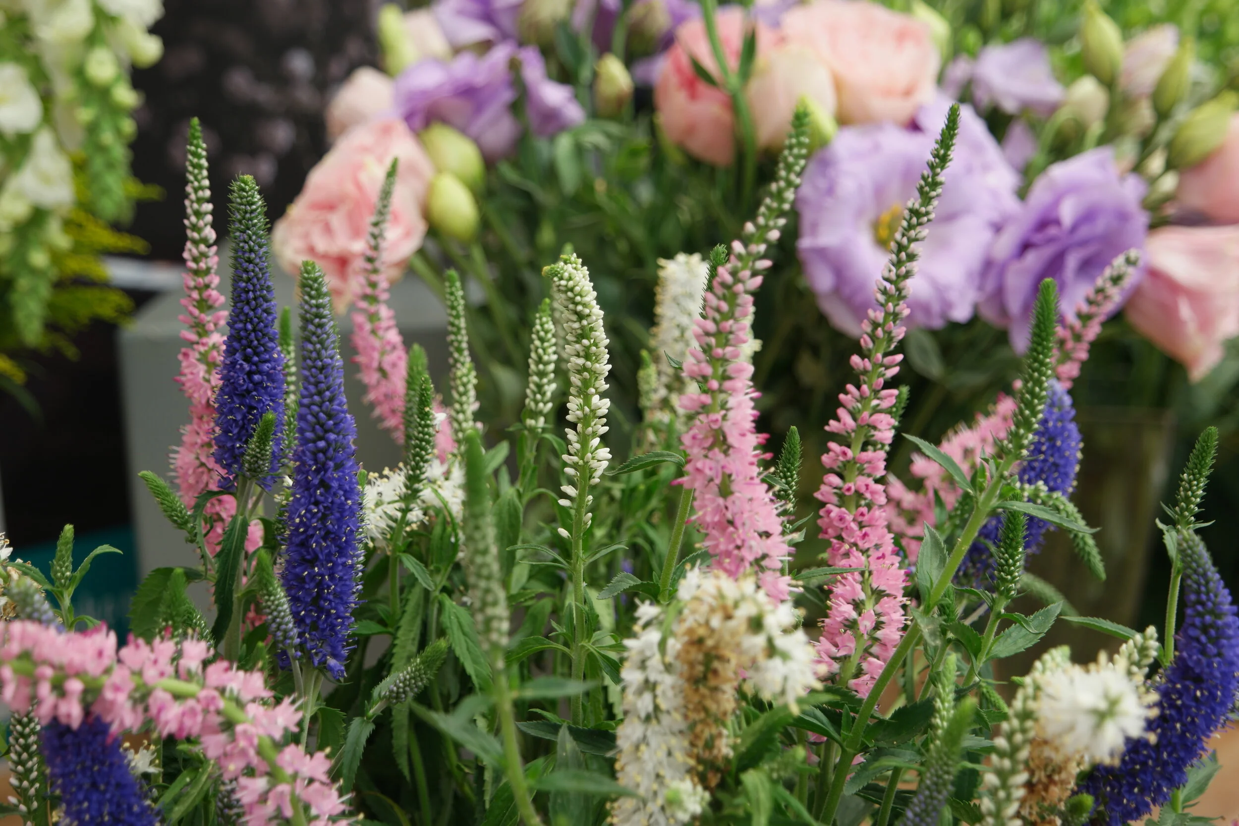 Australian Horticultural Trials Week