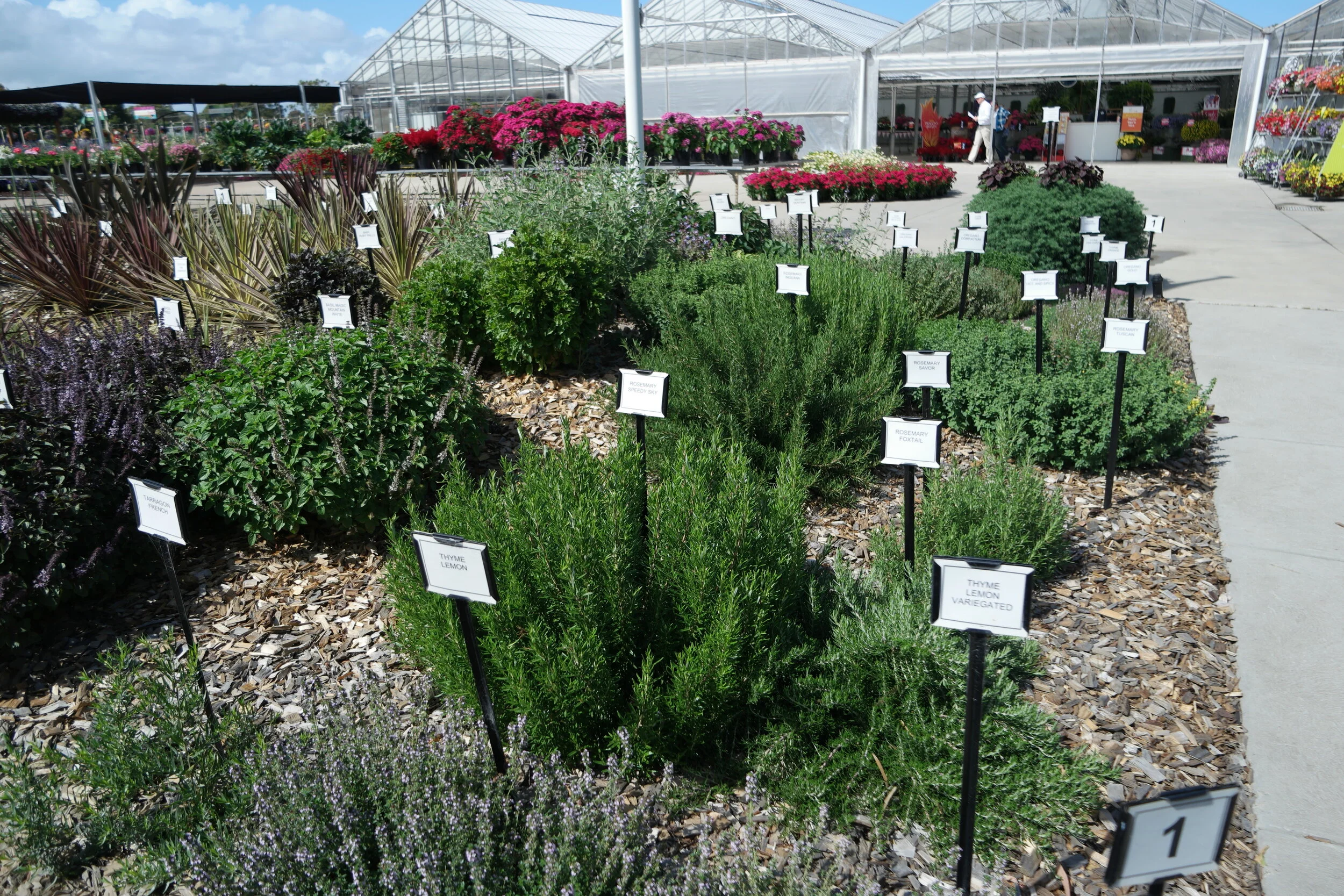 About Australian Trials Week — Australian Horticultural Trials Week