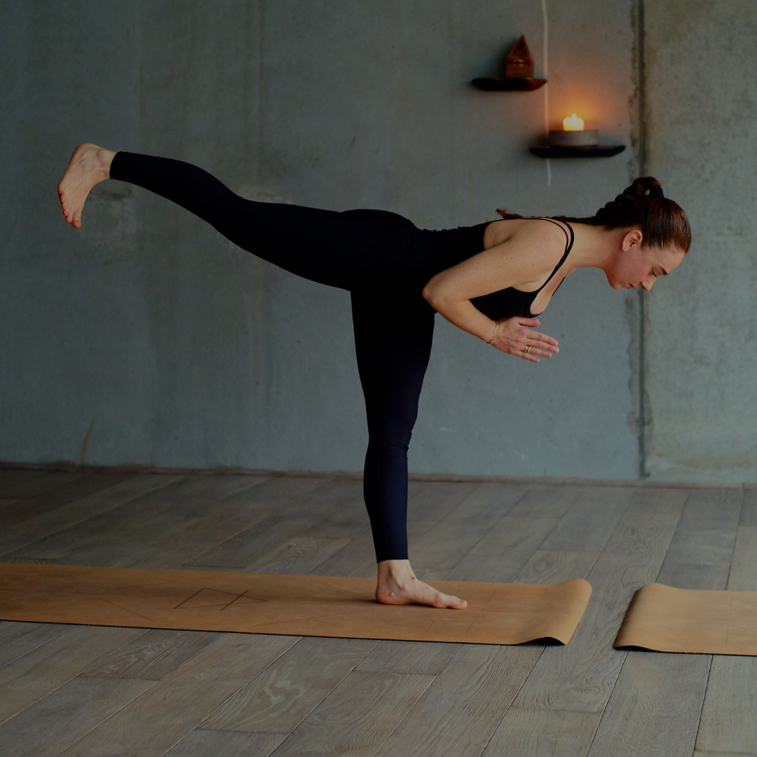 Asana Alignment Workshop — Dóttir HotYoga