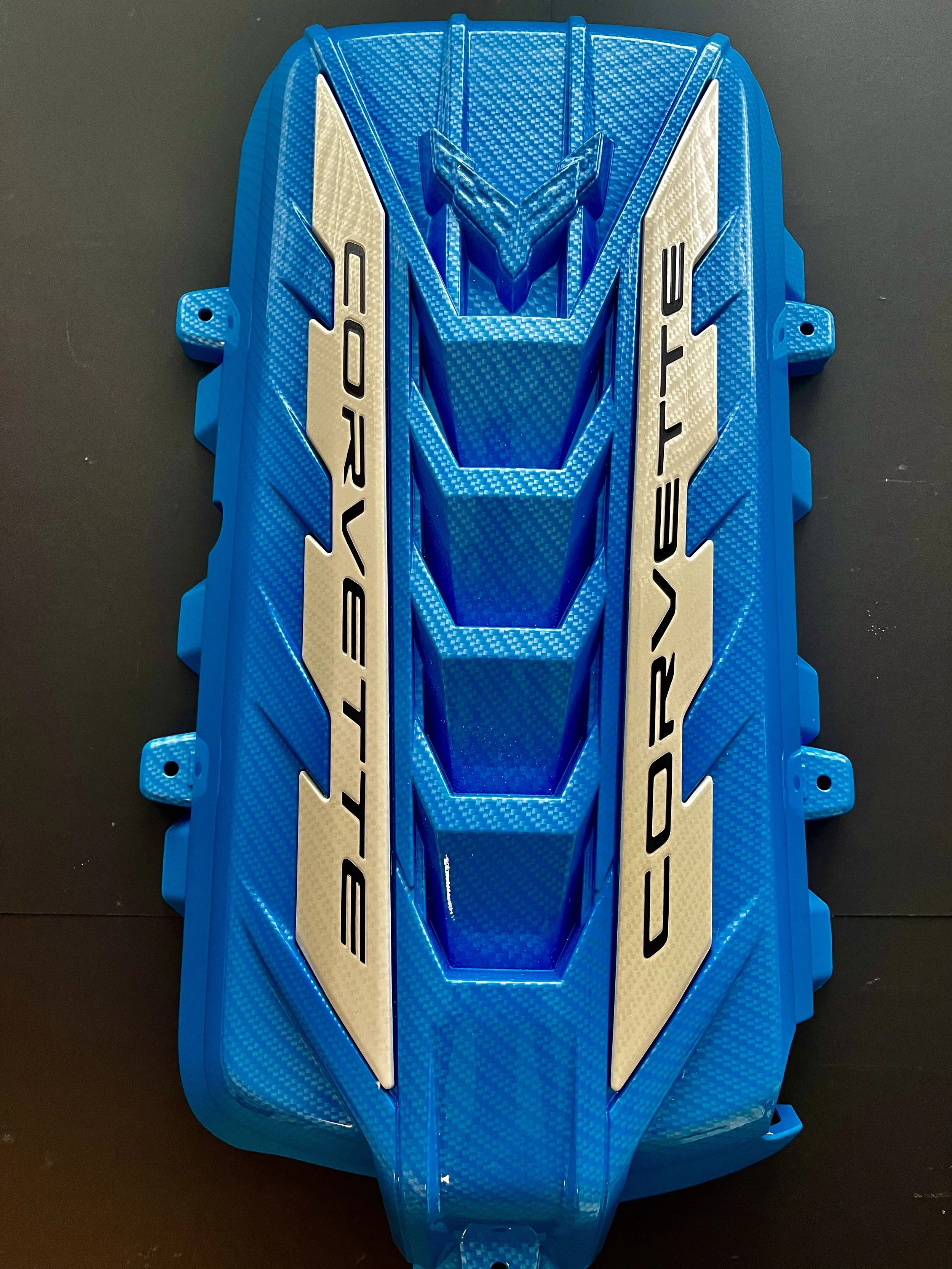 RAPID BLUE ARCTIC WHITE CARBON FIBER — RACEREADYPANELS