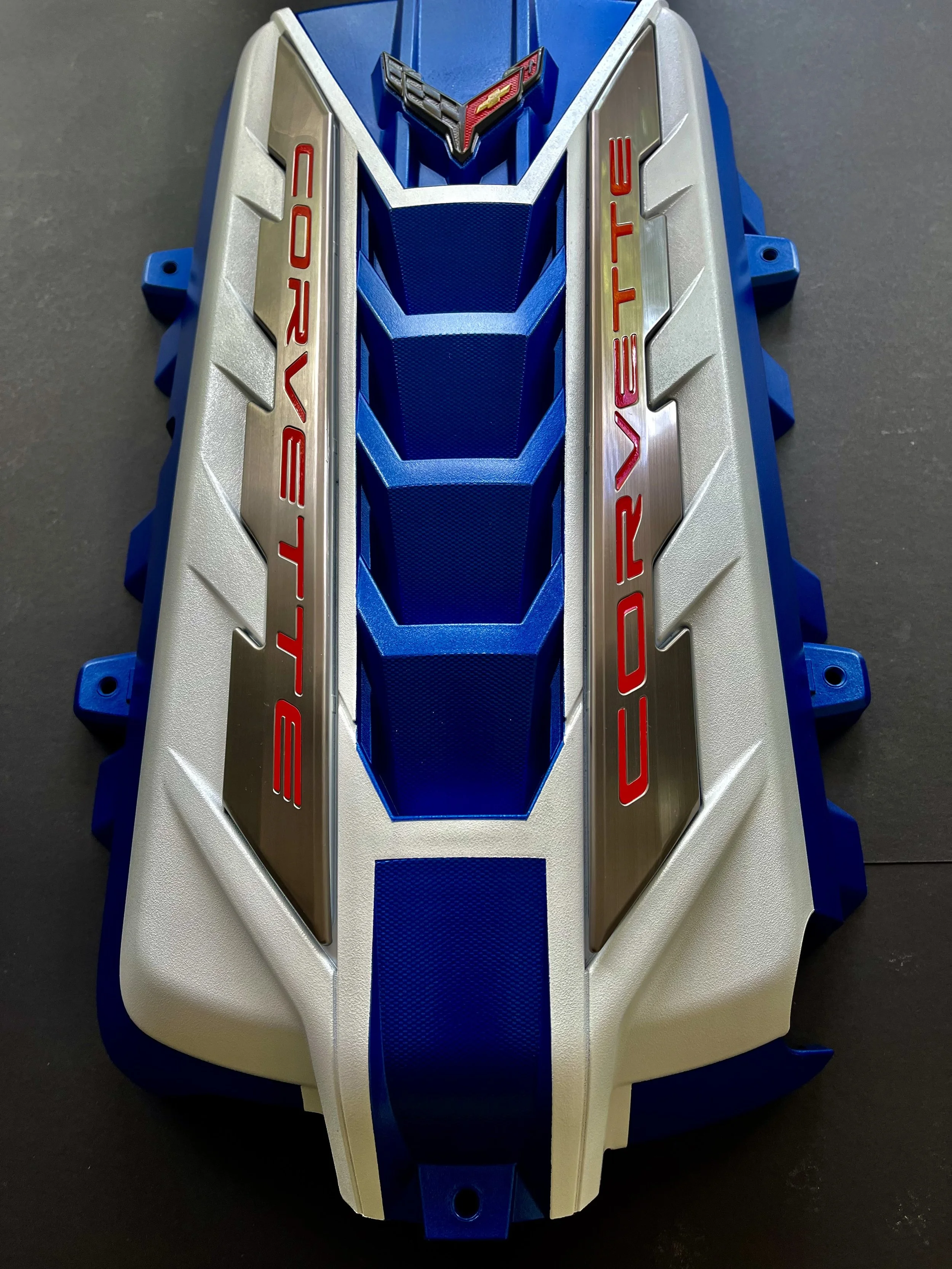RIPTIDE BLUE ARCTIC WHITE OEM RAILS — RACEREADYPANELS