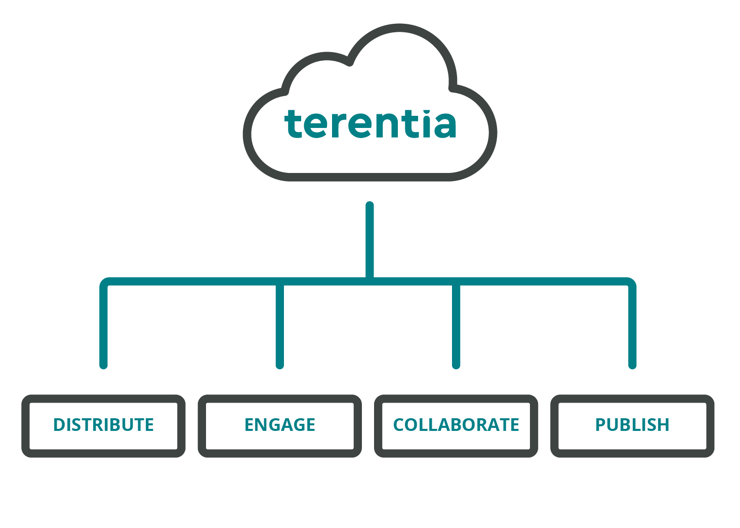 terentia — Collections Management