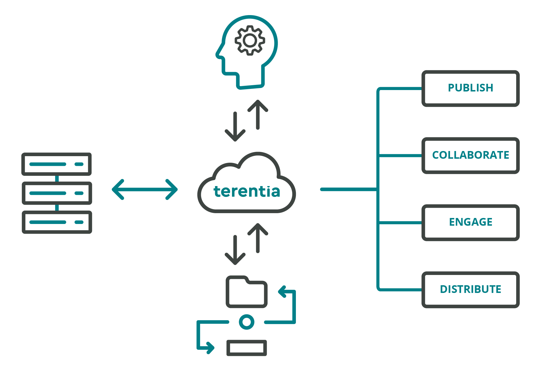 terentia — Collections Management