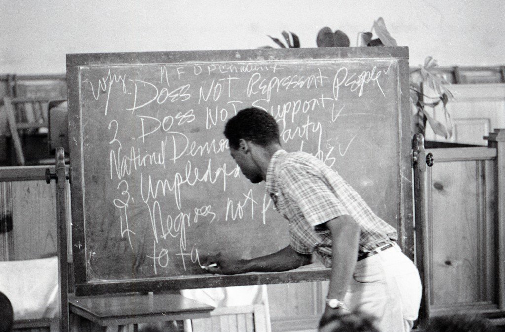 The History of Freedom Schools — IntegrateNYC
