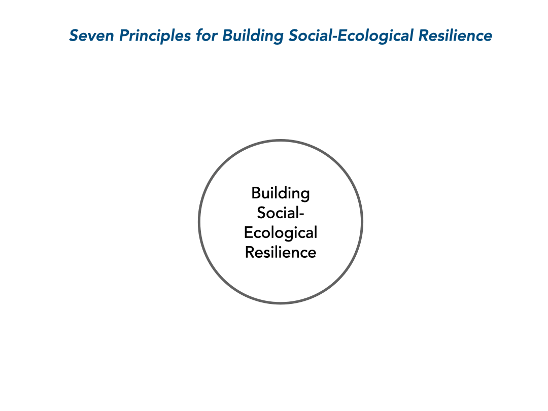 What is a Community Resilience Hub? — Future of Small Cities Institute