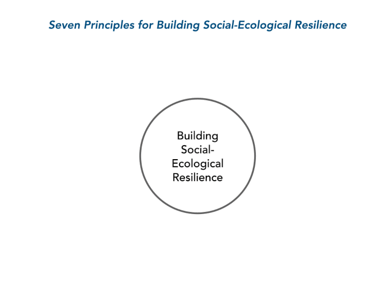 What is a Community Resilience Hub? — Future of Small Cities Institute