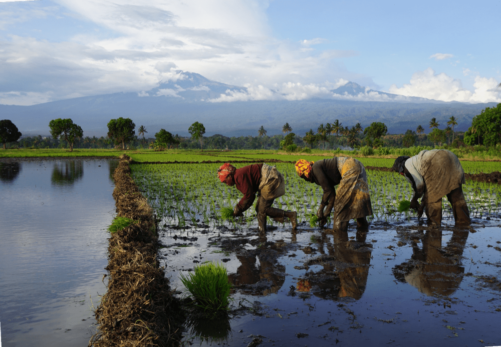 Accountability for Water