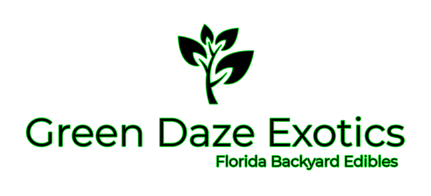 Green Daze Exotics