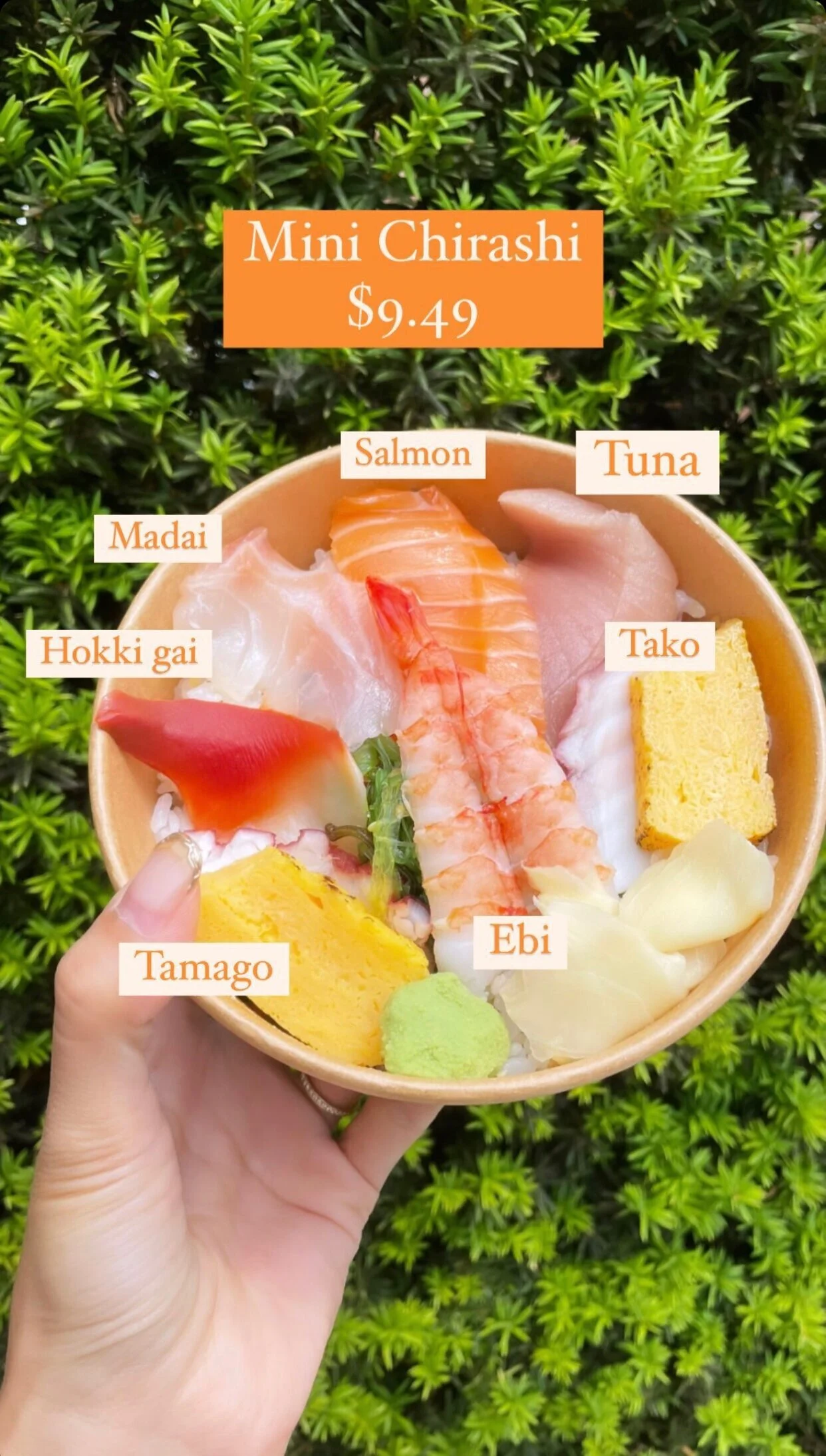 Ajisai 2 Go — Sushi Bar Ajisai