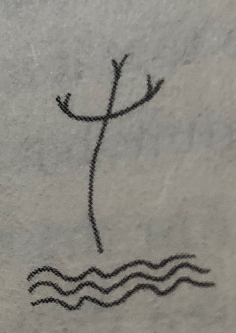 The Covenant of Water by Abraham Verghese — mavis moon