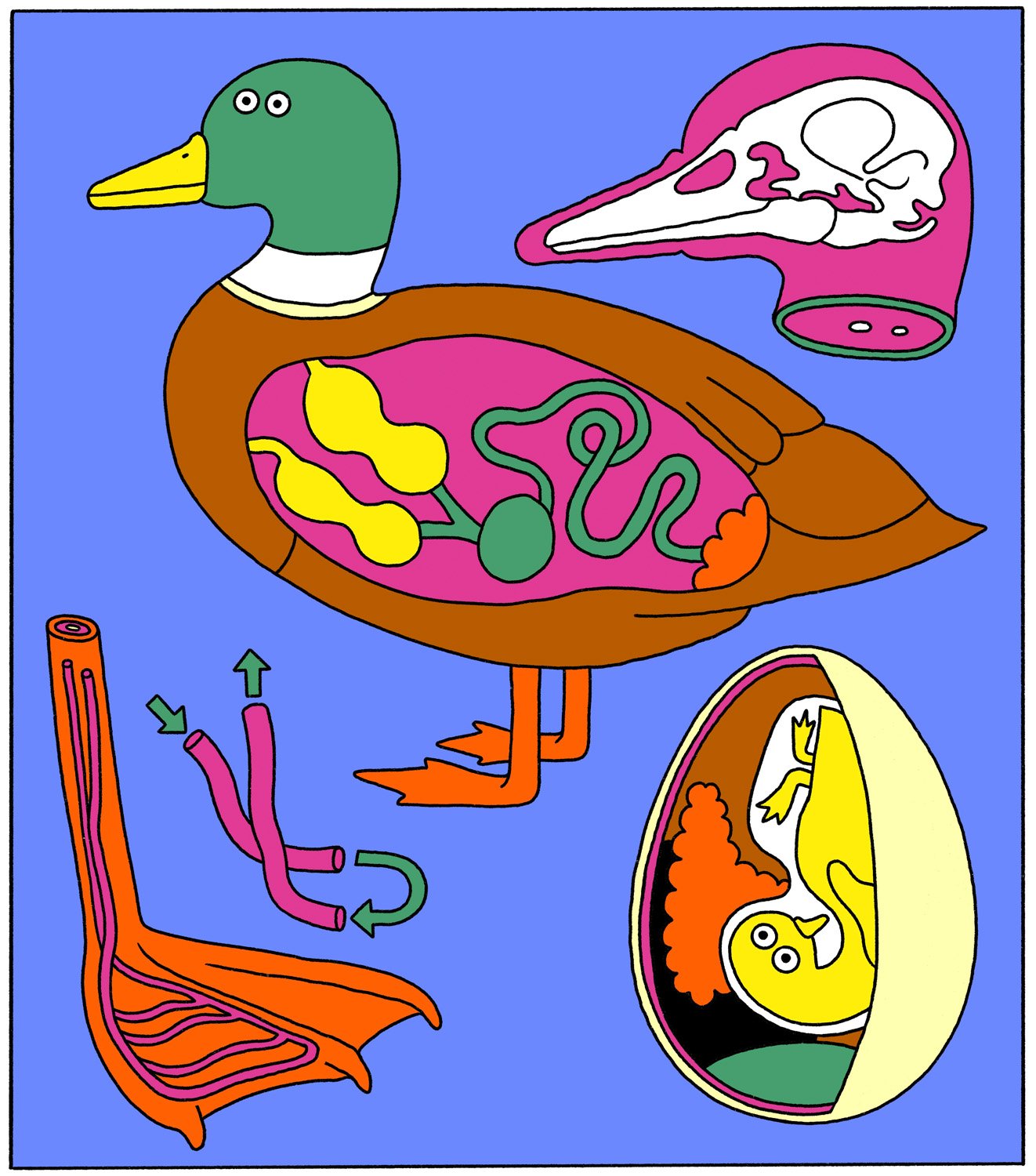 Lauren Humphrey Illustration