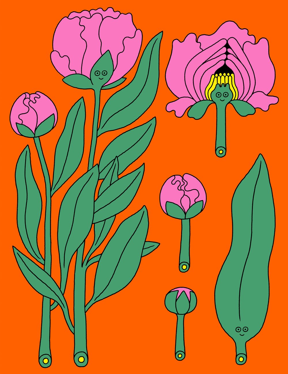 Lauren Humphrey Illustration