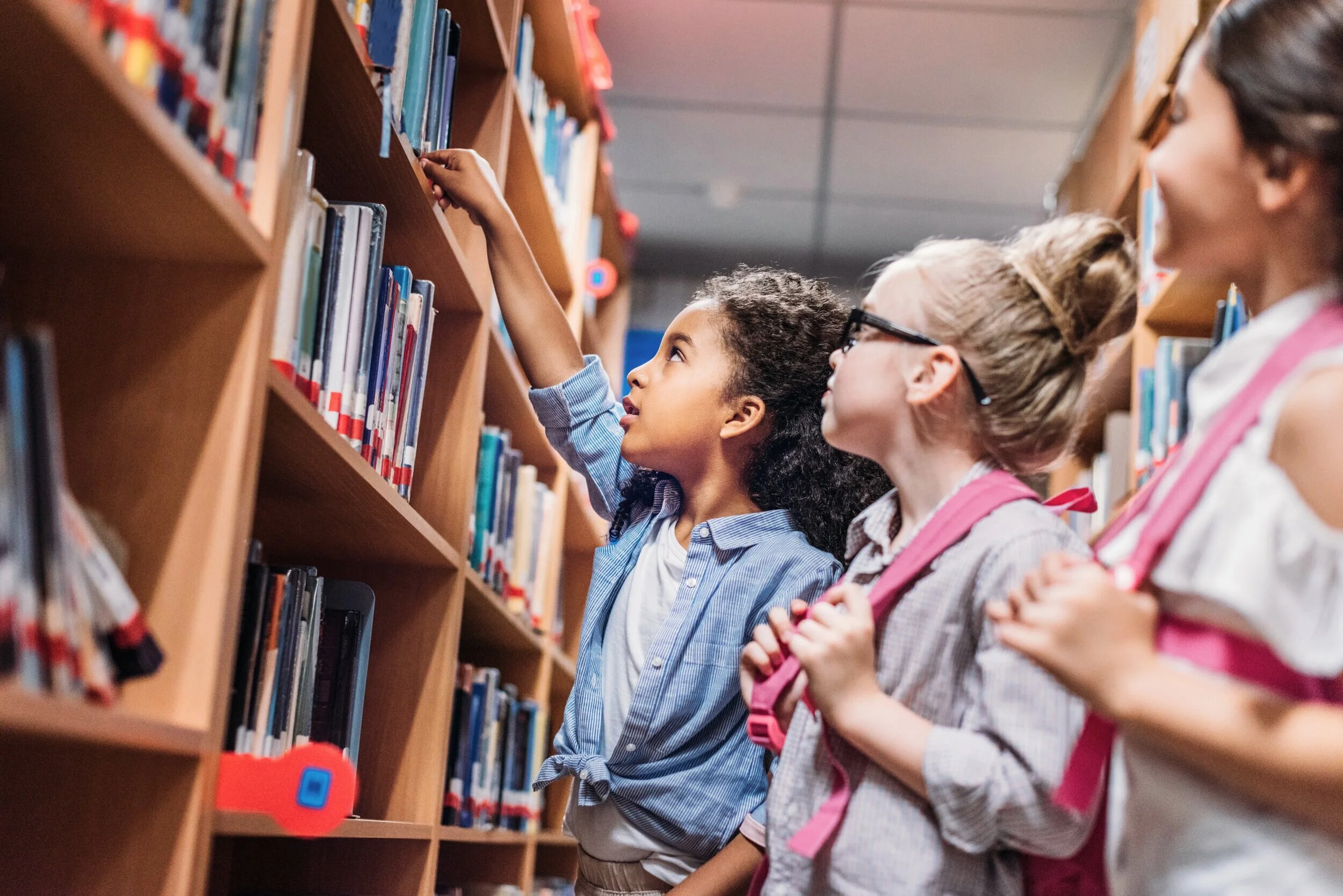 Make A Donation — Library Foundation for Sarasota County