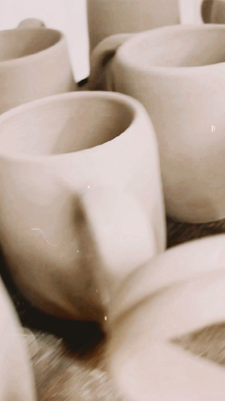 Vivian Sofia Designs - Illustrations and Illustrated Ceramics