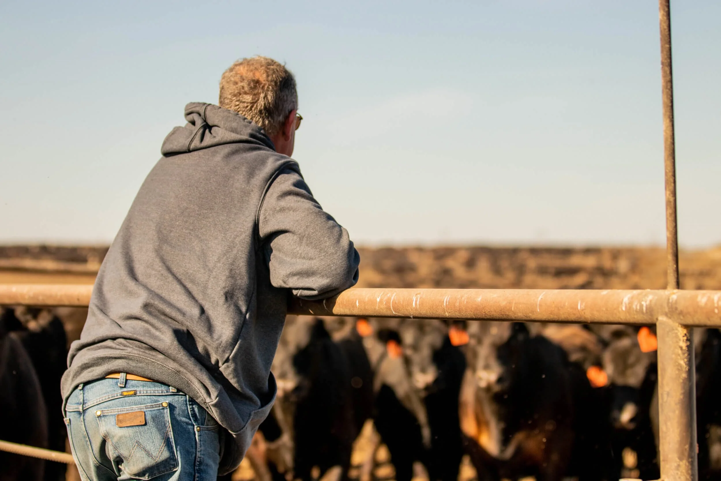 Sicks Calves? Learn how we've helped ranchers like you. Case Studies ...